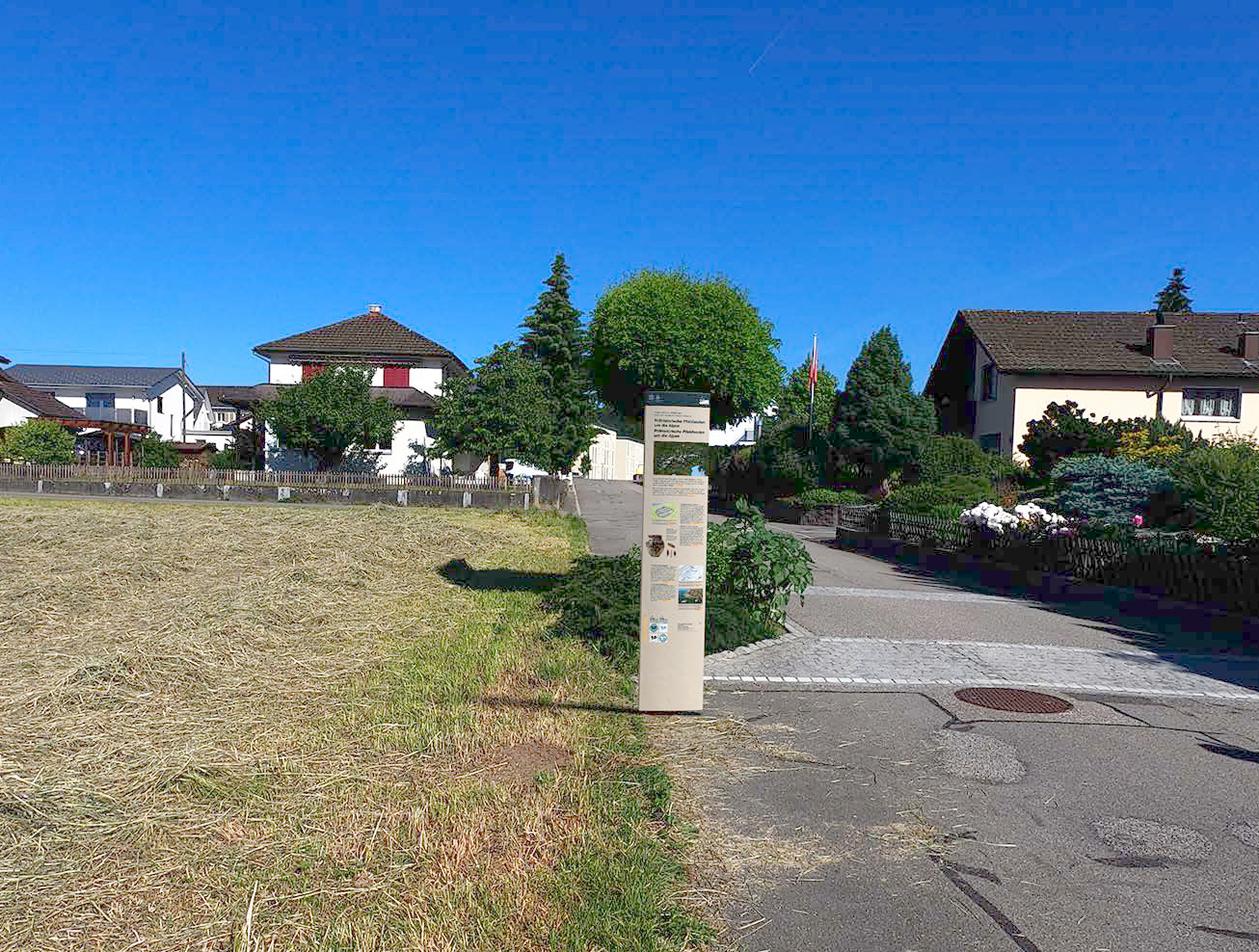 Eine keltische Stadt im Oberaargau